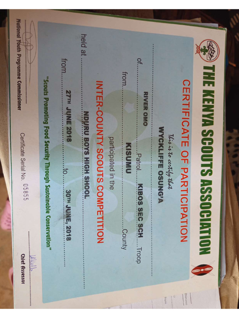 Scouting Certificate | PDF