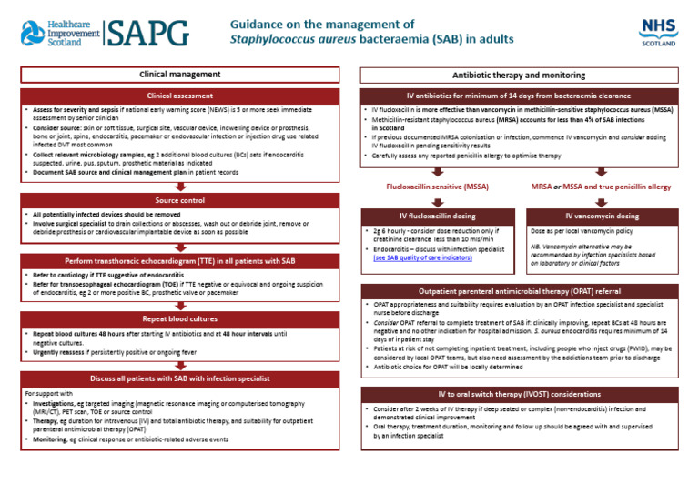 20230215-sapg-ab-flow-diagram-v13-a3-0-1 | PDF | Staphylococcus Aureus | Methicillin Resistant ...