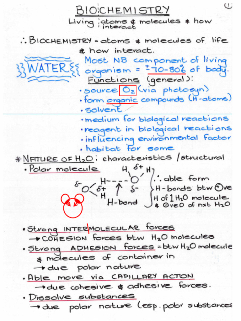 Biochemistry | PDF | Chemical Polarity | Water