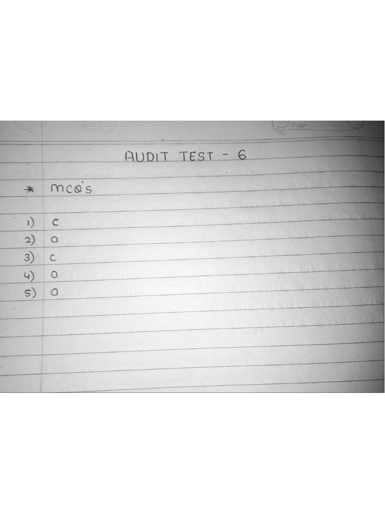 Audit Test 6 | PDF