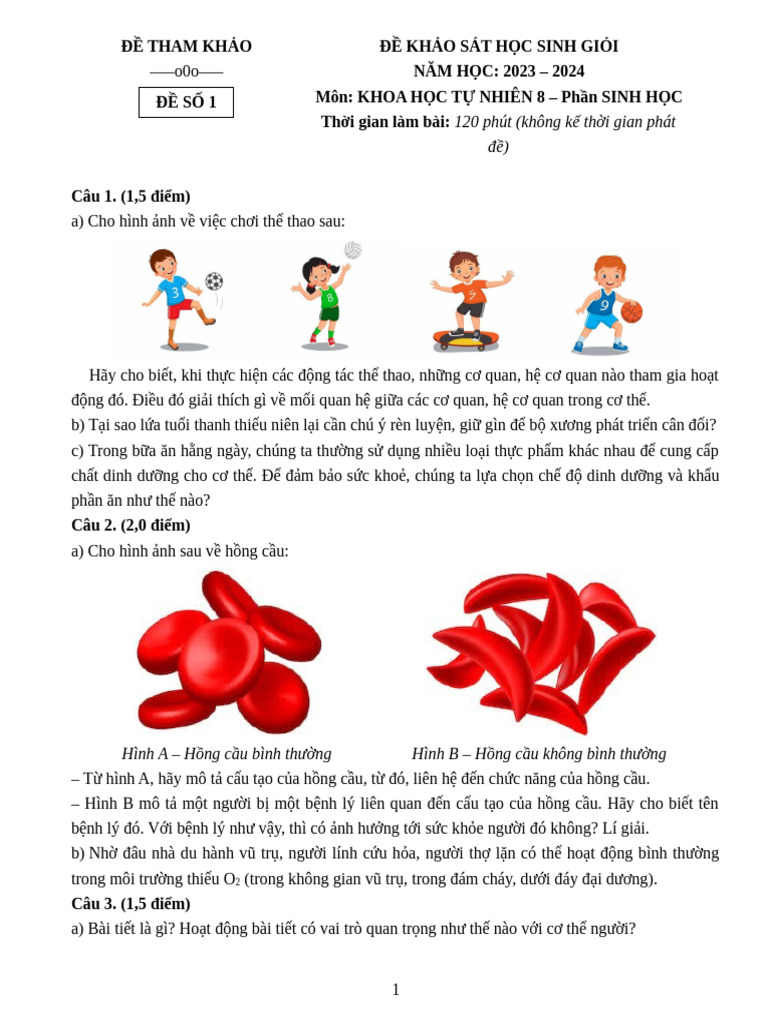 ĐỀ HSG 1 1 | PDF