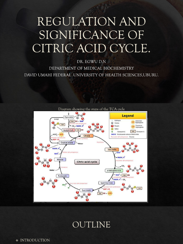 4 REGULATION OF CITRIC ACID CYCLE | PDF | Diet & Nutrition | Chemistry