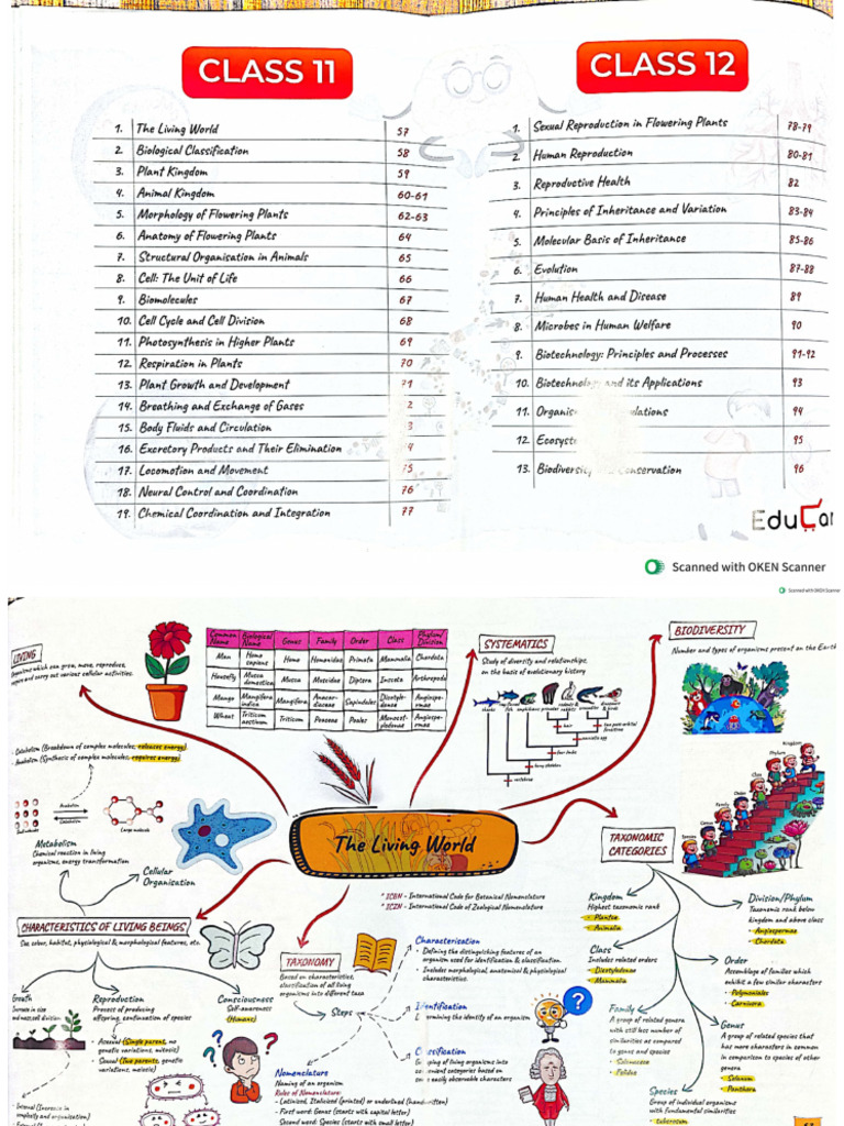 Revision Theory Map (Biology) | PDF