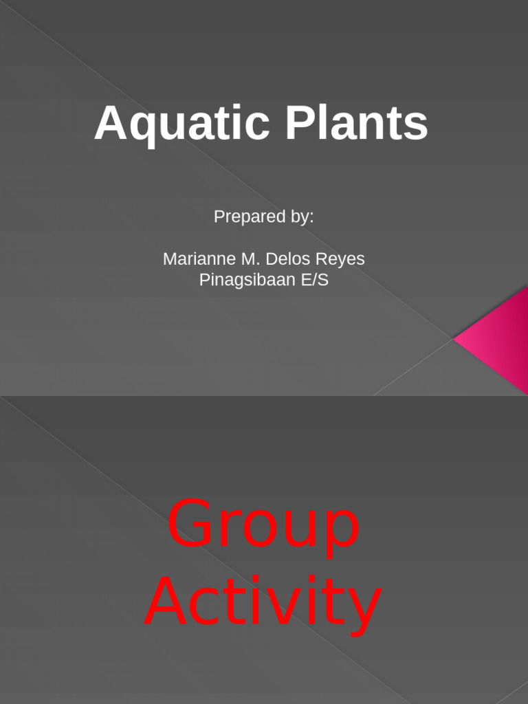 Lesson 28 Science-Aquatic Plants and Flowers | PDF | Hydrology ...