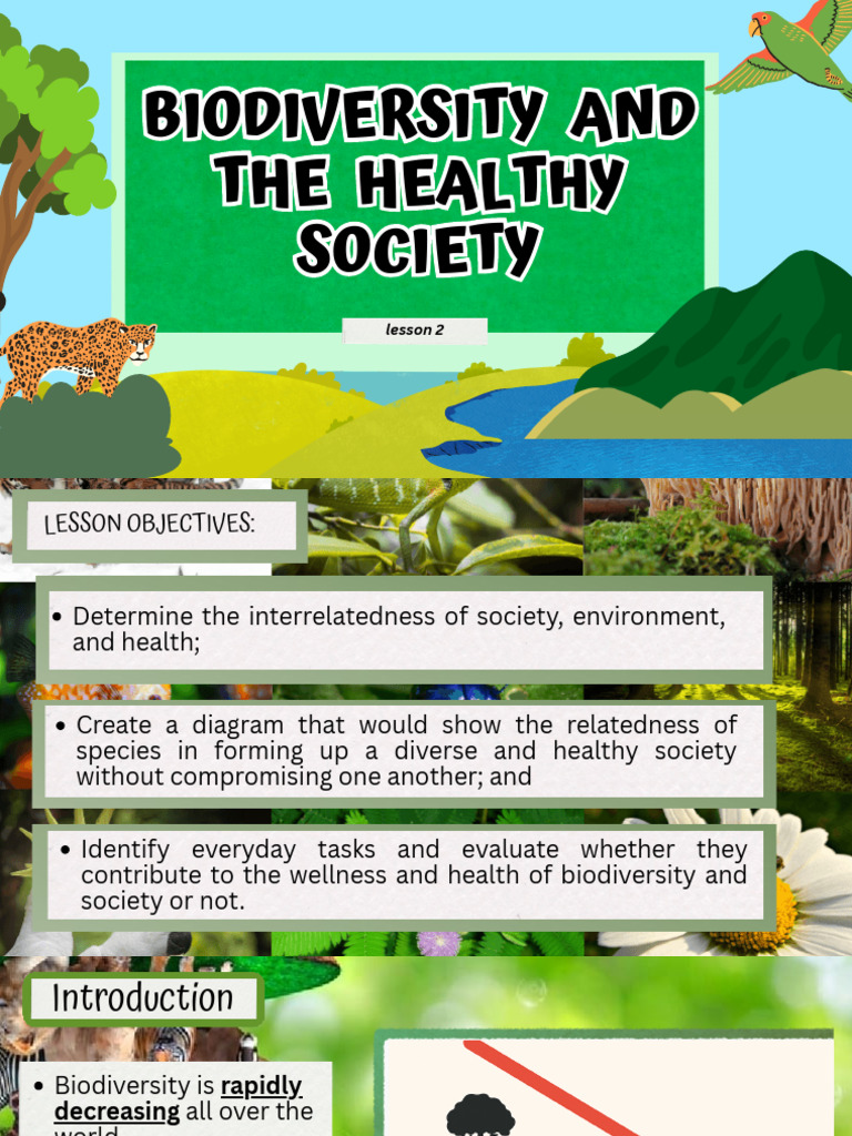 Biodiversity's Impact on Human Health | PDF | Biodiversity | Ecosystem