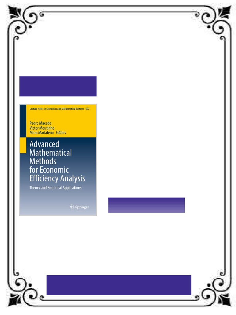Advanced Mathematical Methods for Economic Efficiency Analysis: Theory ...