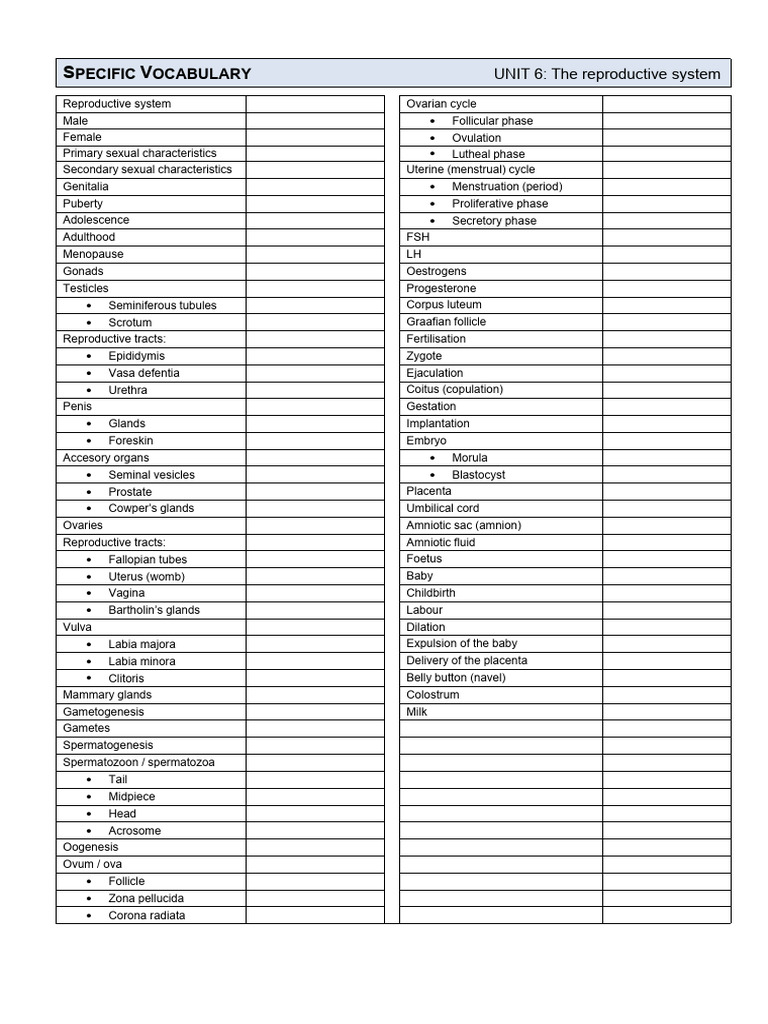 VOCABULARY UD 6 the Reproductive System | PDF