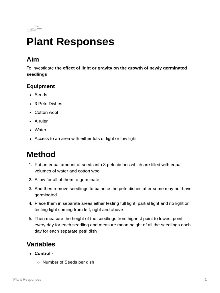 Effects of Light on Seedling Growth | PDF | Seed | Seedling
