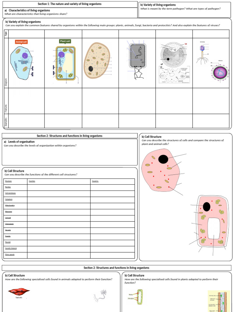 Revision Mats Biology | PDF | Anatomy | Biology