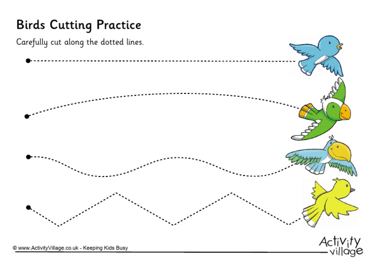 Birds Cutting Practice | PDF