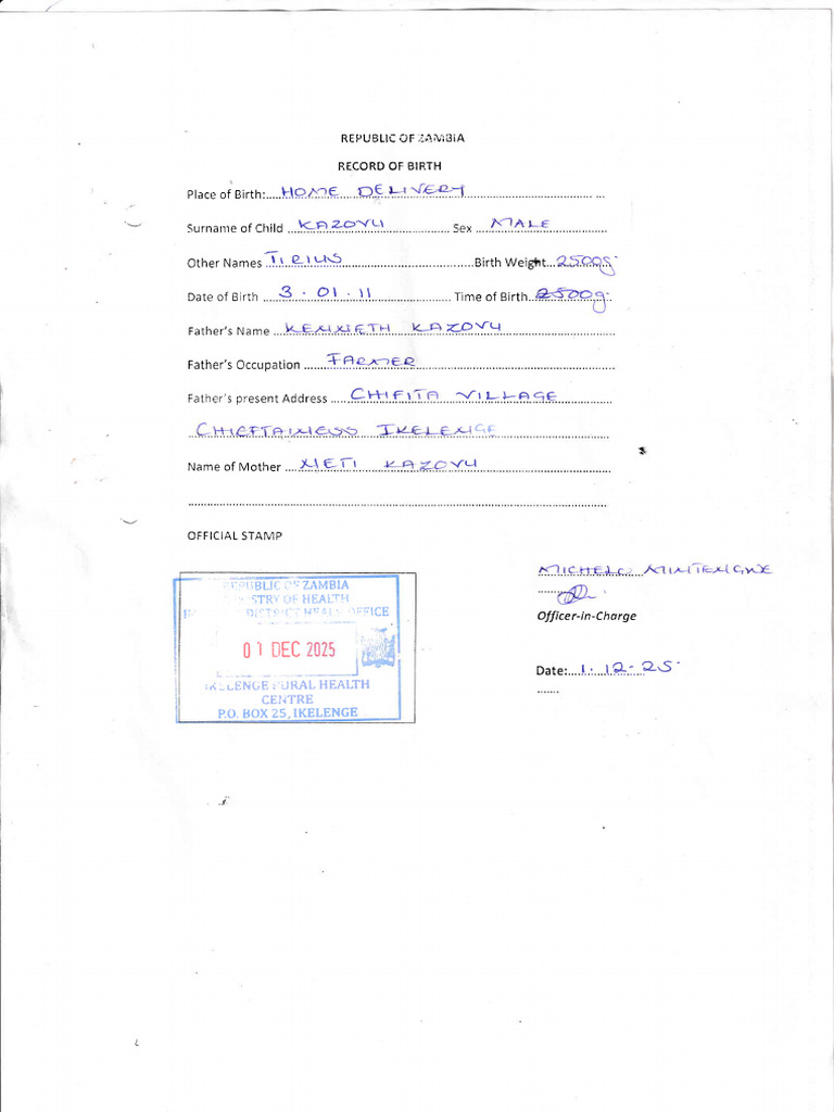 Birth Record Document Template | PDF