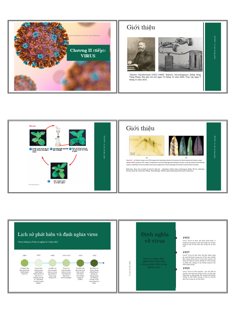 Virus. SV | PDF