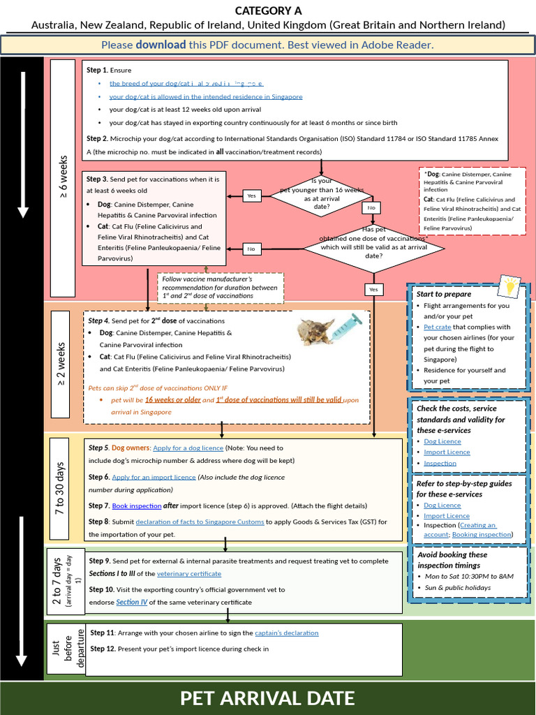 category-a-dog-cat-import-flowchart-apr2018 | PDF | Pit Bull | Dogs