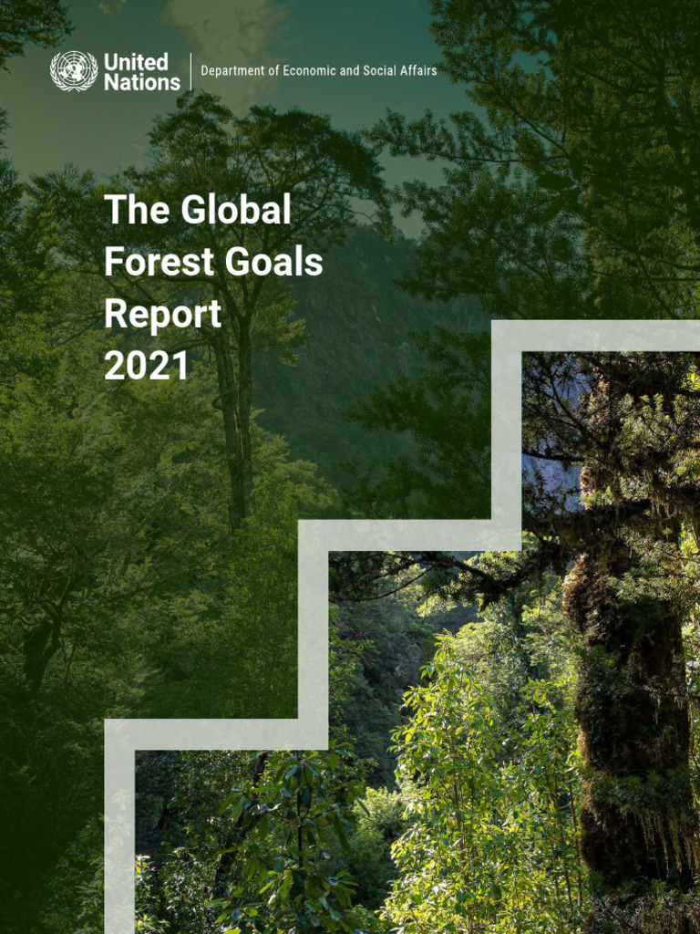 8 Global Forest Goals Report 2021 | PDF | Sustainability | Forest ...