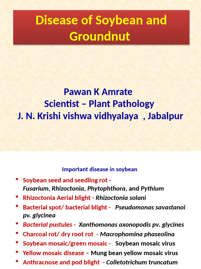 Soybean and Groundnut Disease Guide | PDF | Botany | Branches Of Botany