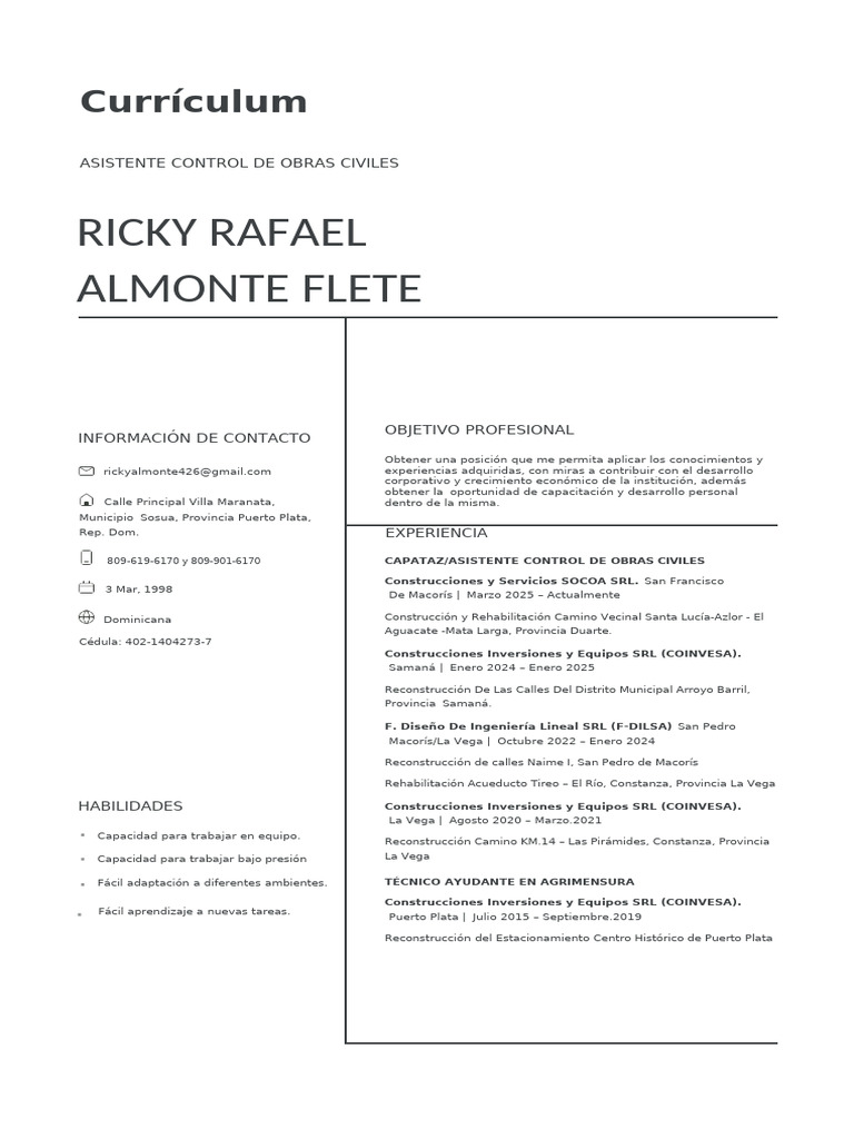 Curriculum Editable. Ricky Almonte | PDF | Aprendizaje