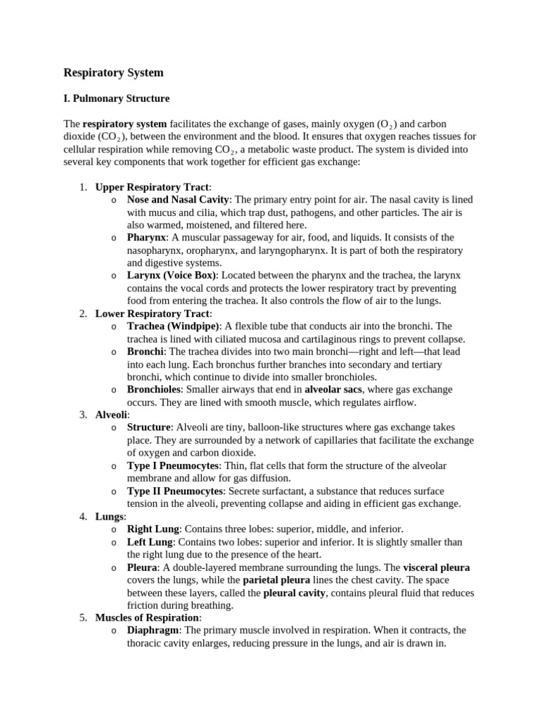 Overview of the Respiratory System | PDF | Respiratory Tract ...