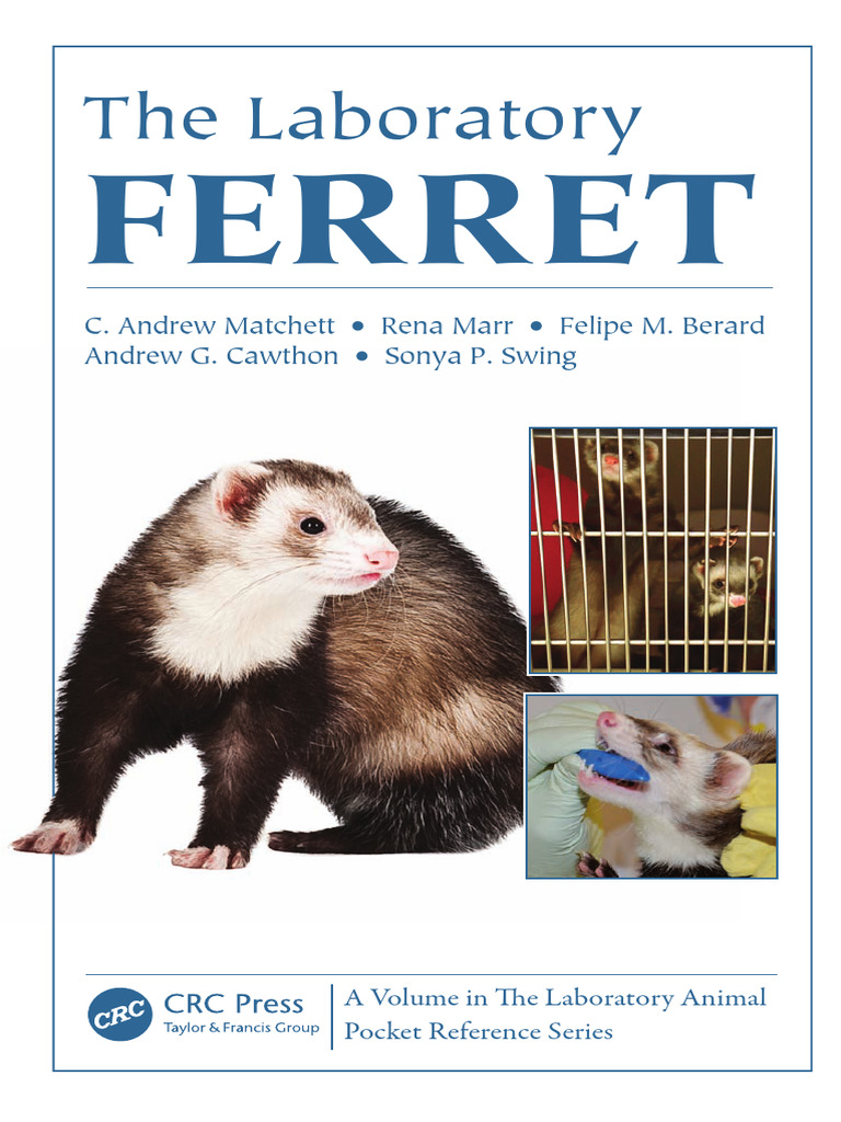 The Laboratory Ferret | PDF | Respiratory System | Copyright