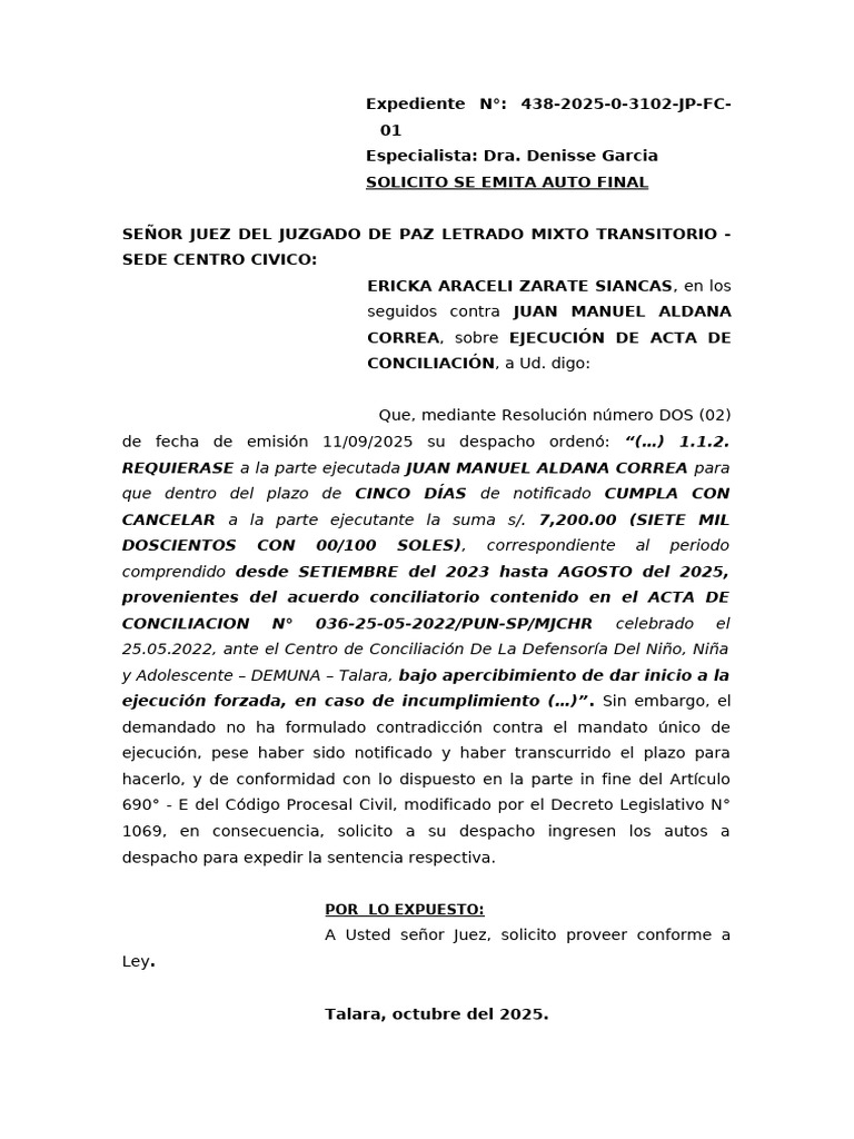 Se Emita Auto Final Ericka Araceli Zarate Siancas | PDF