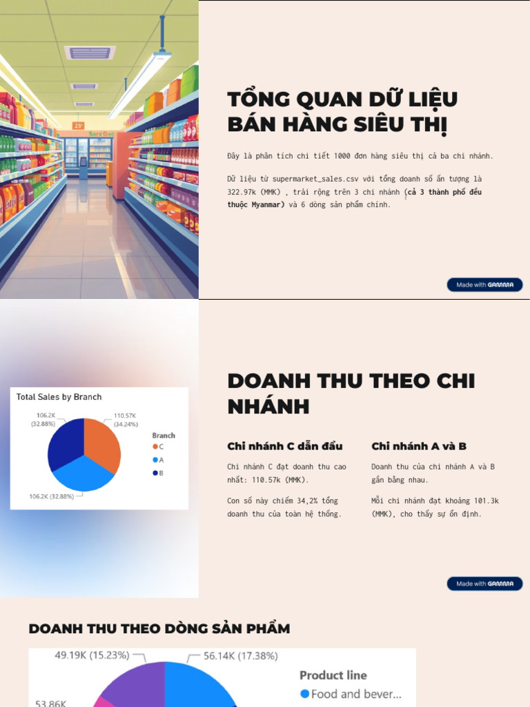 Tong Quan Du Lieu Ban Hang Sieu Thi | PDF