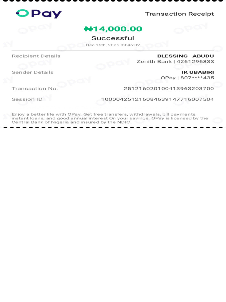 Successful OPay Transaction Receipt | PDF