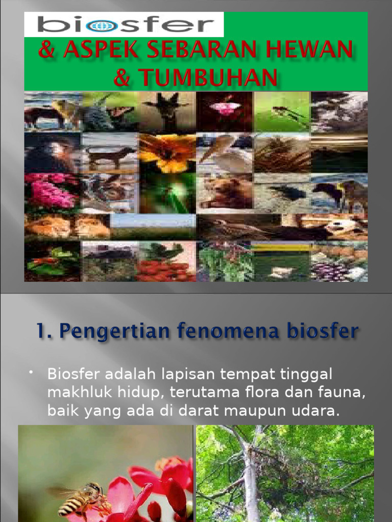 Biosfer Aspek Sebaran Hewan Tumbuhan | PDF