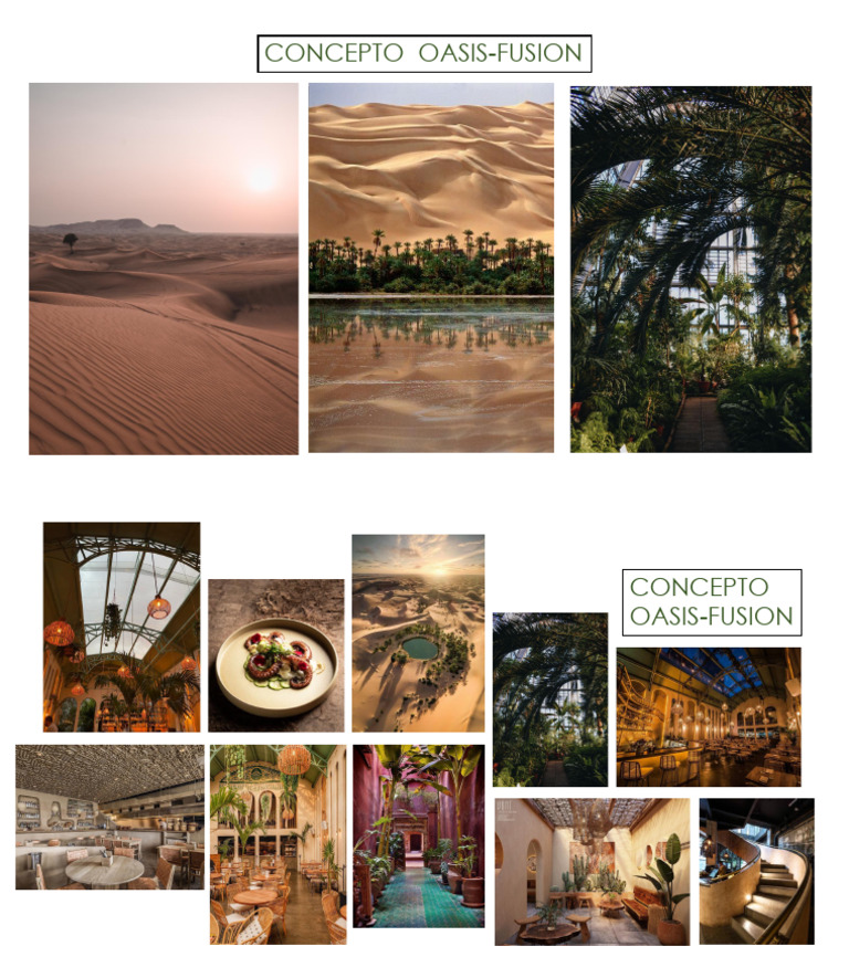 Layout Concepto Oasis | PDF