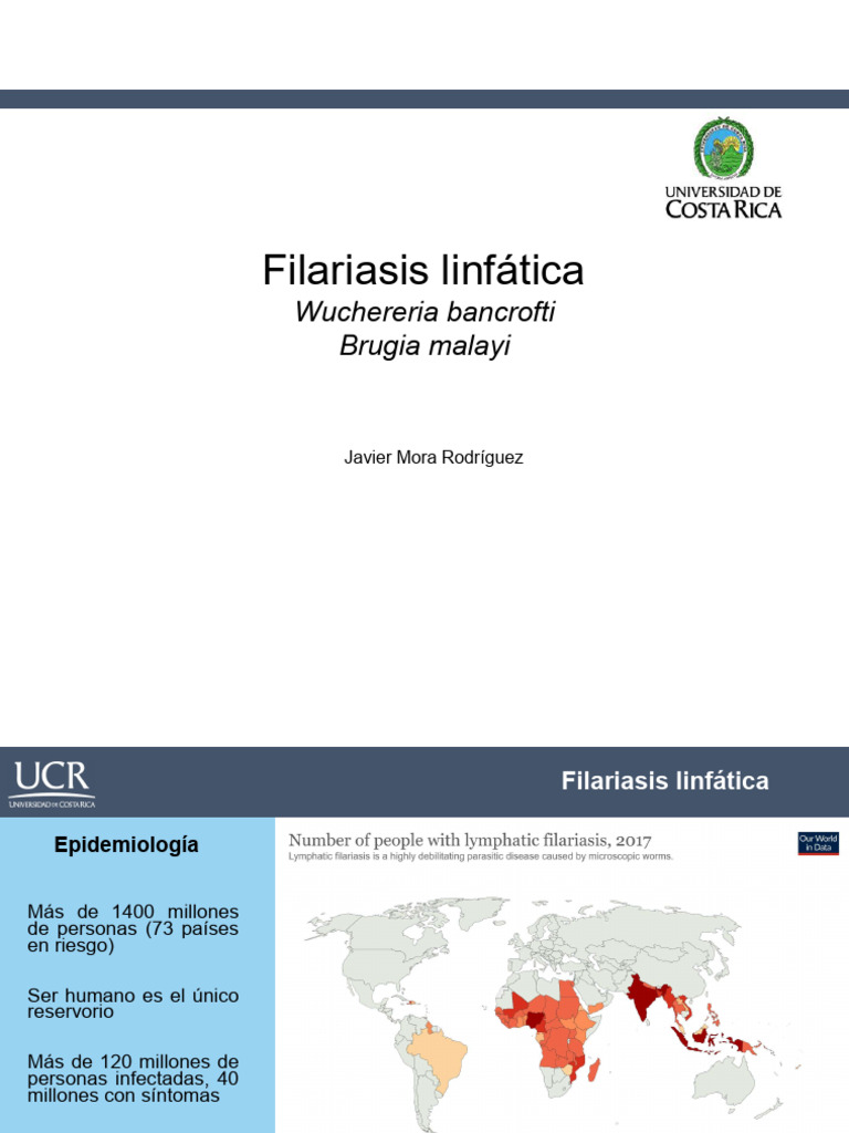 Filariasis Linfática: Epidemiología y Patología | PDF | Parasitología ...