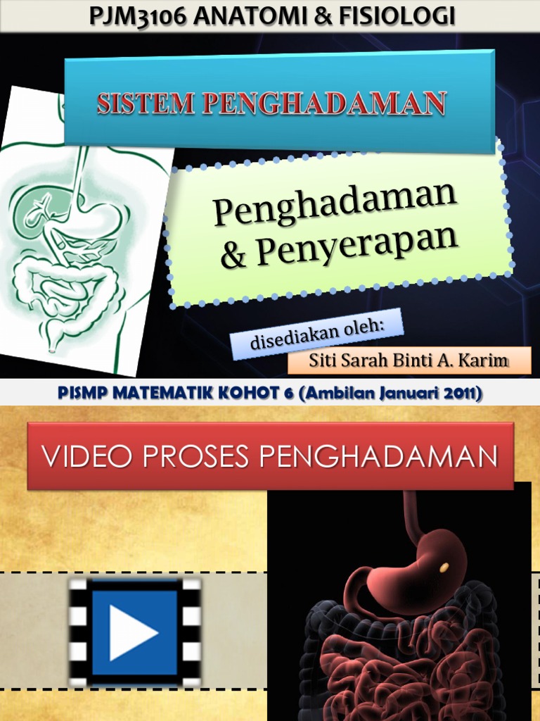 SISTEM PENGHADAMAN - Penghadaman Dan Penyerapan | PDF