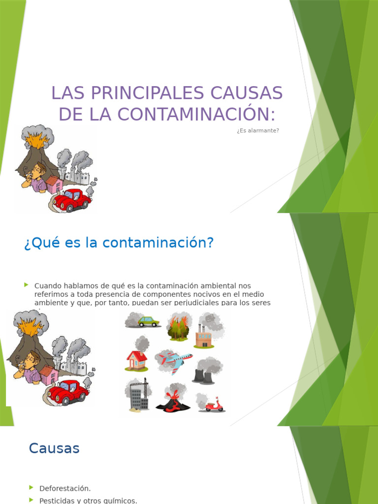 Copia Las Principales Causas de La Contaminación.(1) | PDF