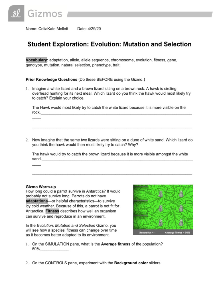 Evolution: Mutation and Selection Insights | PDF | Genotype | Natural ...