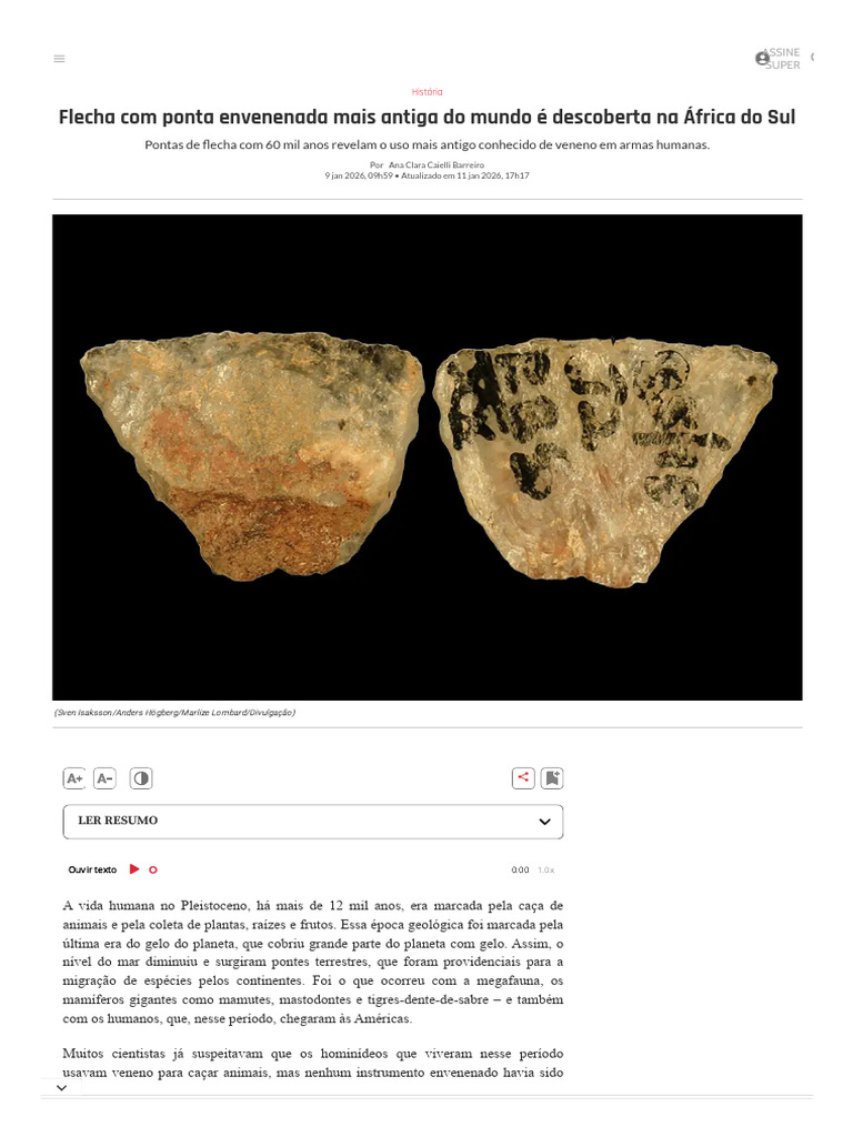 Flecha com ponta envenenada mais antiga do mundo é descoberta na África ...