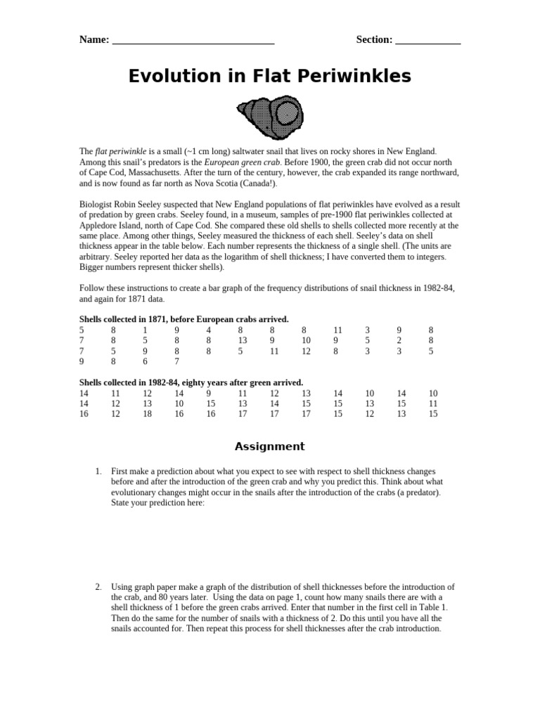 Evolution of Flat Periwinkles' Shells | PDF