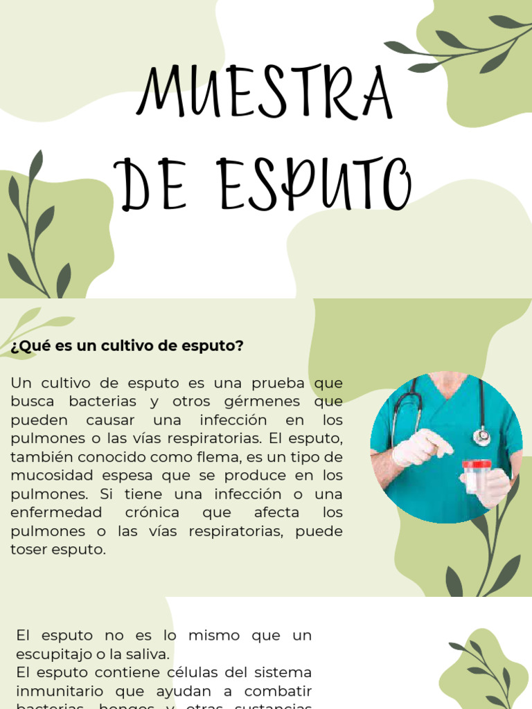 Muestra de Esputo | PDF | Tos | Neumonía