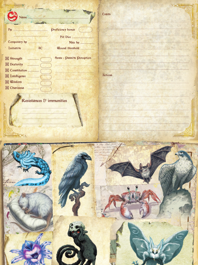 RPG Character Stats Overview | PDF