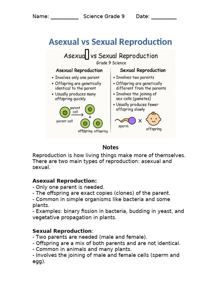 Asexual vs Sexual Reproduction Guide | PDF | Sexual Reproduction ...