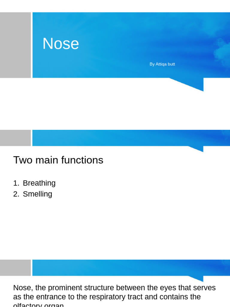 Nose | PDF | Human Nose | Lung