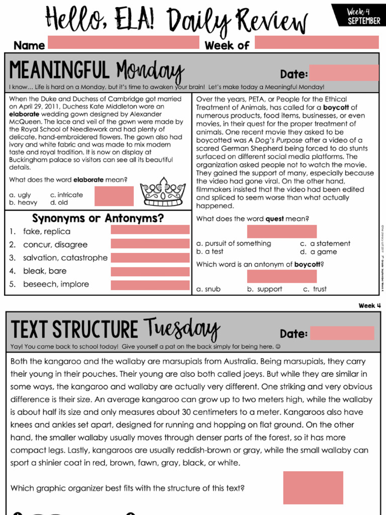Week 8 September Digital ELA Daily Review | PDF