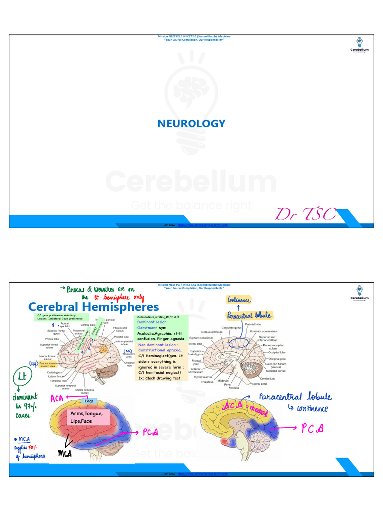 Neurology Course for NEET PG Aspirants | PDF | Spinal Cord | Spinal ...