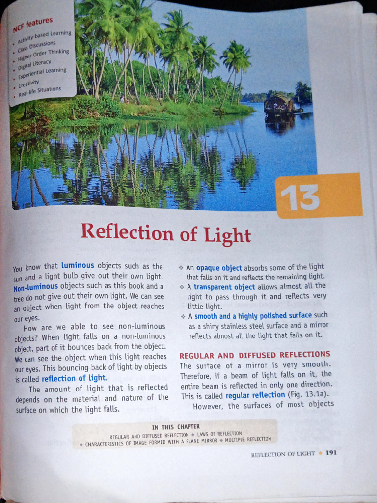 Ch13 Class 8 Science | PDF | Reflection (Physics) | Mirror