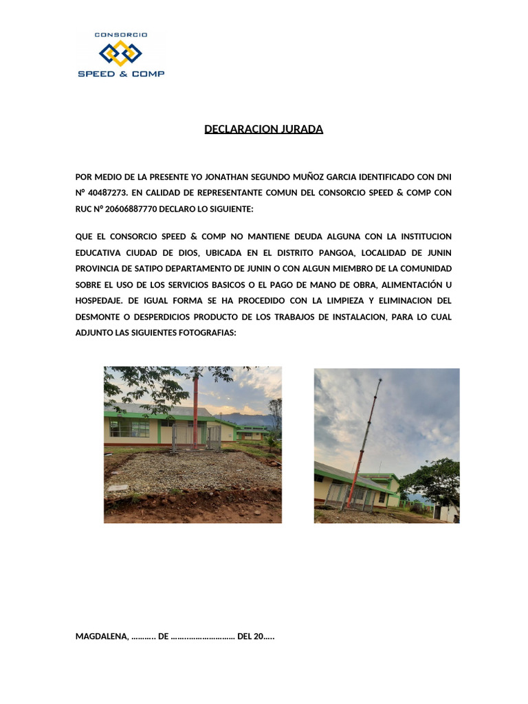 Declaración Jurada de Consorcio Speed & Comp | PDF
