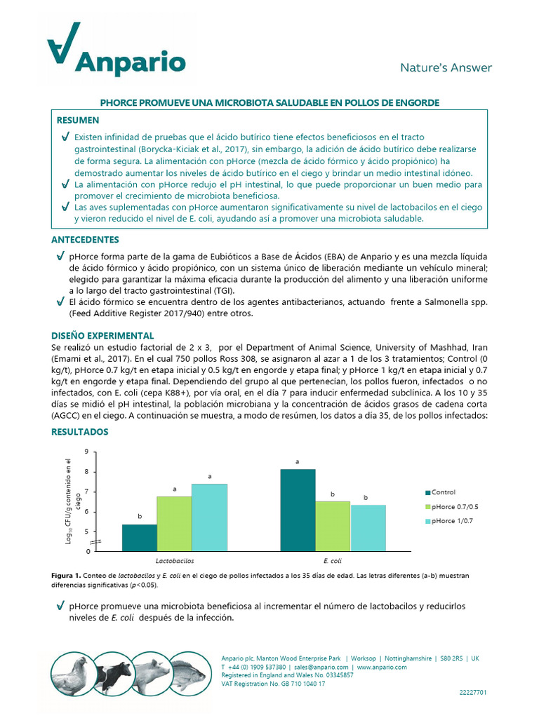 pHorce-Promotes-a-Healthy-Microbiota-in-Broilers- | PDF | Escherichia coli