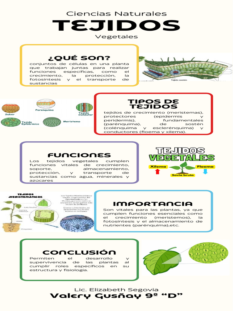 Infografía Consejos para Emprender Dibujo Ilustrado Rojo | PDF