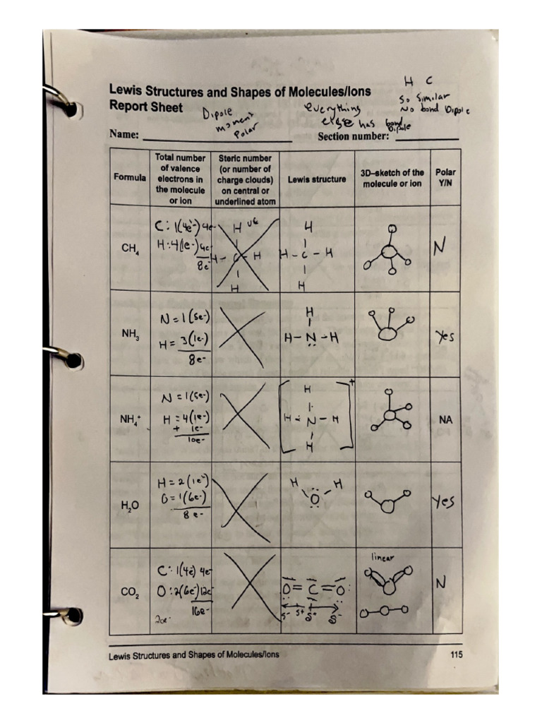 Lewis Structures and Shapes of Moleculeslons | PDF