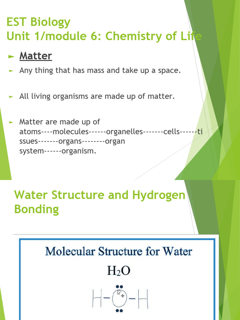 9 Grade Lesson 1 Water | PDF