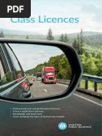 Online Provisional Permit Guide | PDF | Driver's License