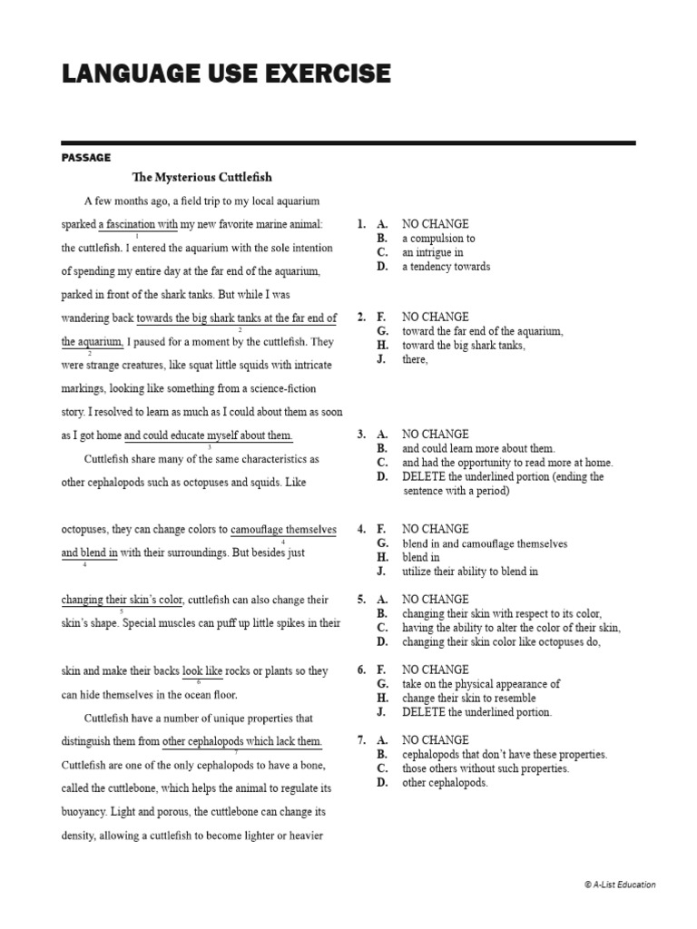 U8 Language Use Exercise | PDF