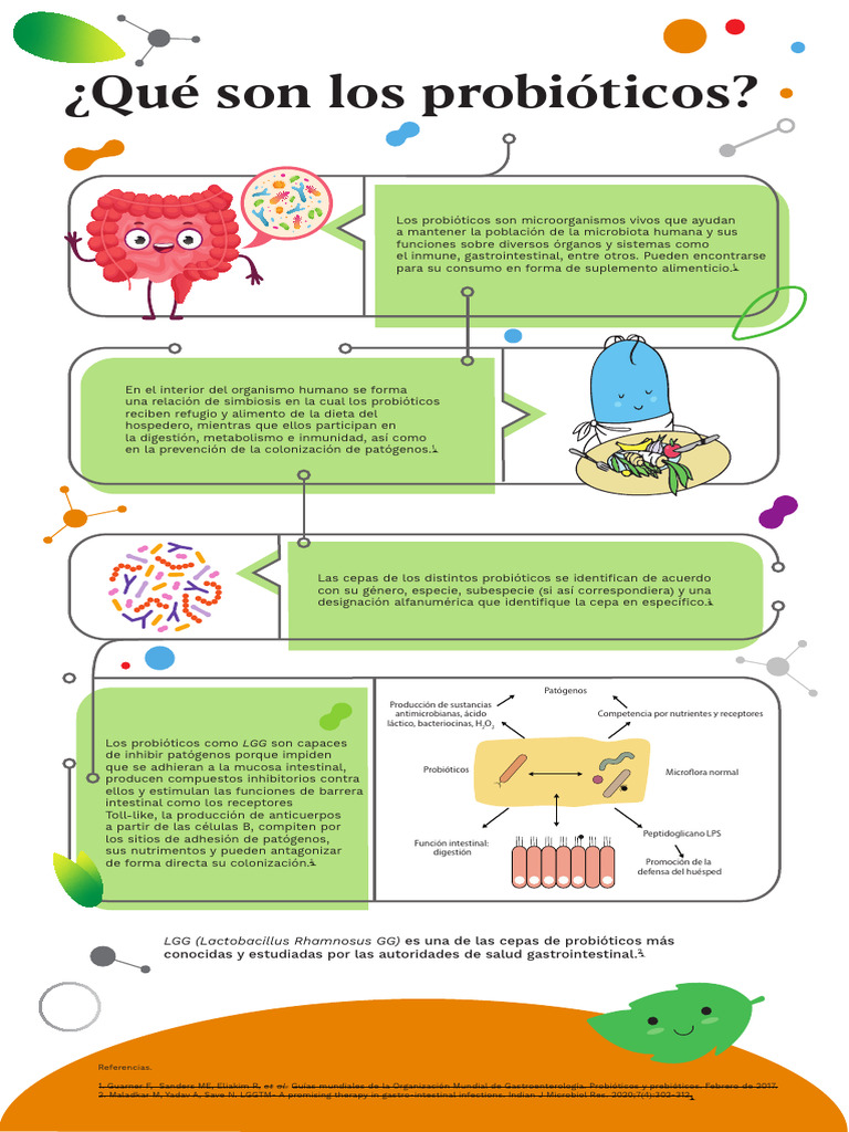 Oe Iberoflora Back to Basics Info 03052024 Rev Db 080524 | PDF | Probiótico | Biología