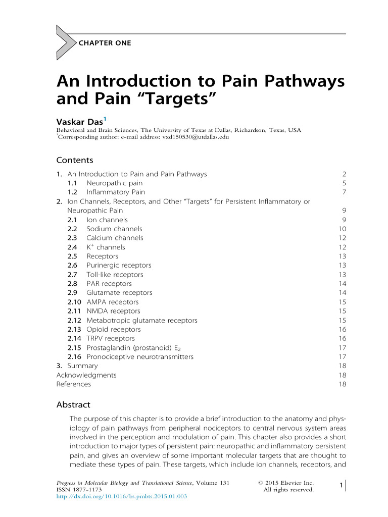 Understanding Pain Pathways and Targets | PDF | Pain | Neuron