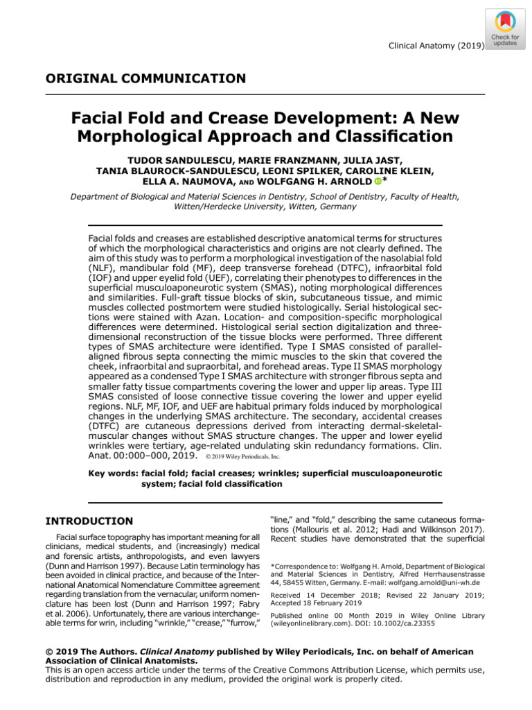 Facial_fold_and_crease_development_A_new_morpholog | PDF | Skin ...